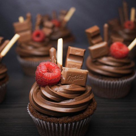 Chocoholic Frolic | Chocoholic Frolic benefiting the Arc of WBO!